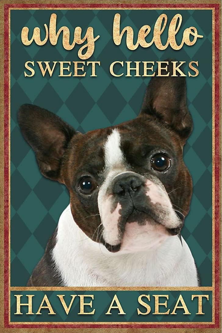 Boston Terrier Why Hello Sweet Cheeks Have A Seat Poster Metal Sign ...