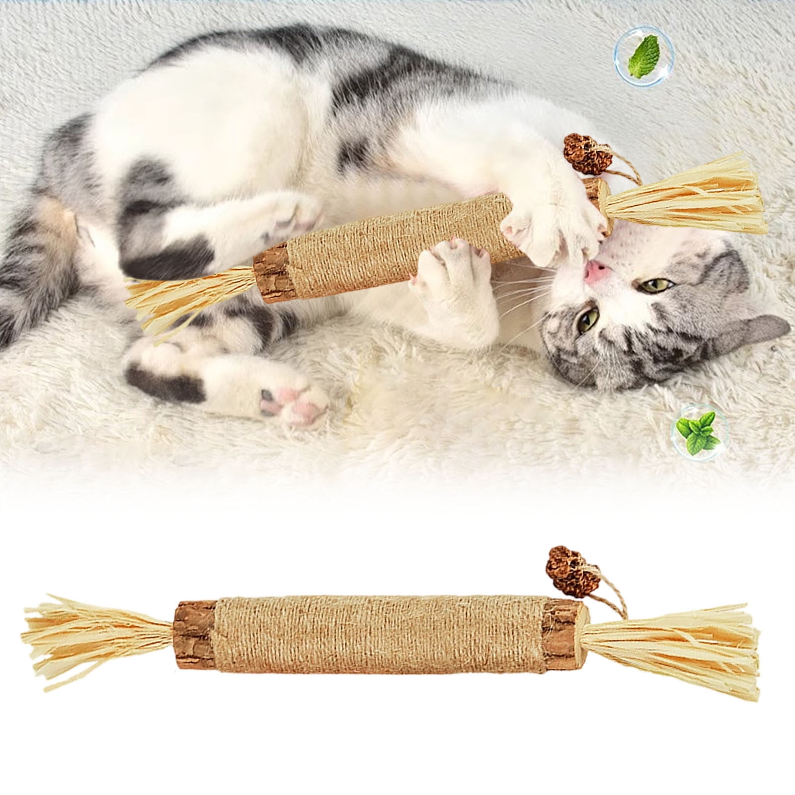 BotaniNest Cat Mint Sticks Chew For Cats Cat Mint Sticks Toys Help With ...