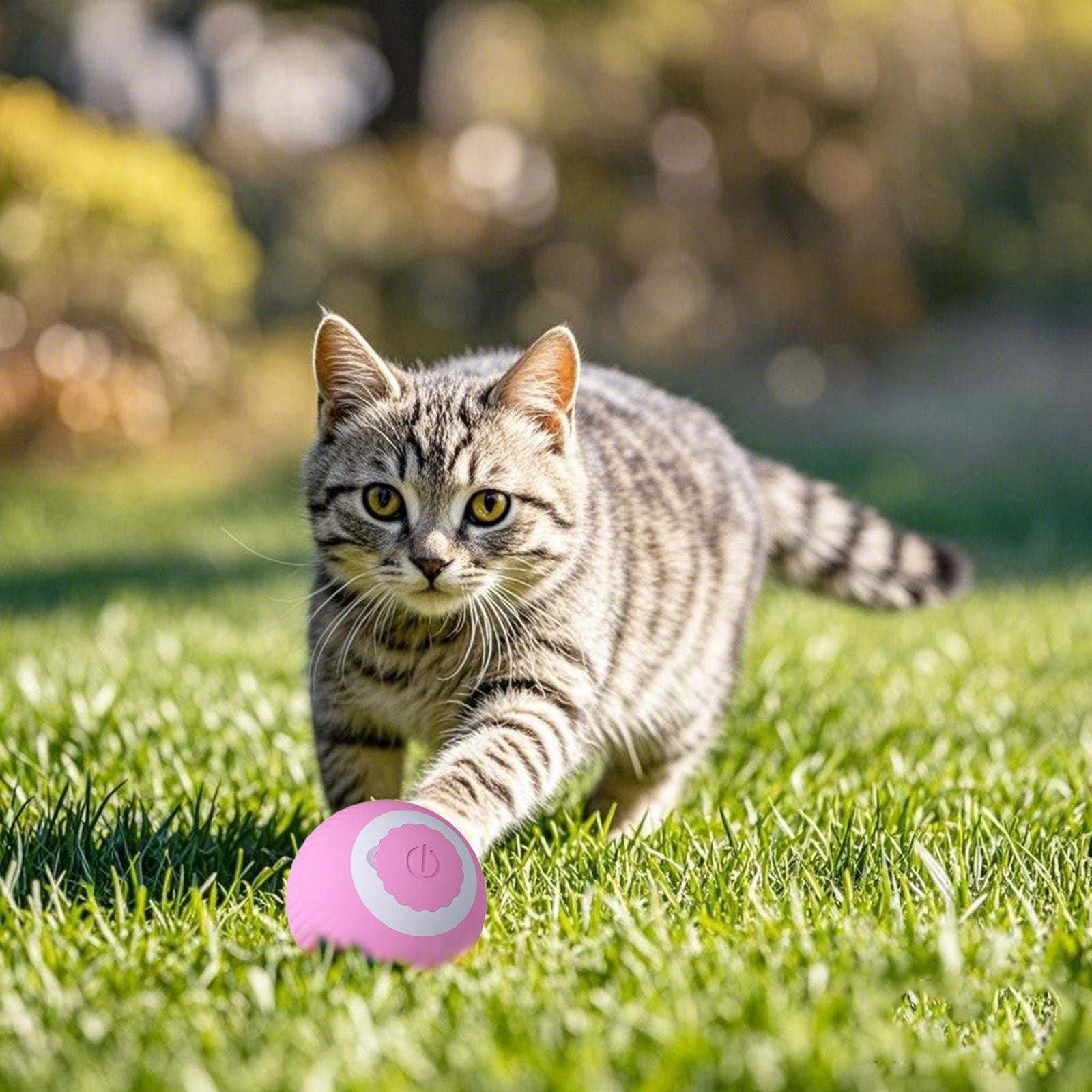 BotaniNest Cat Toy Ba Ll 2.0 Red Rainbow Cat Toy Ba Lls Soft Interactive Indoor Ki Ttens ...