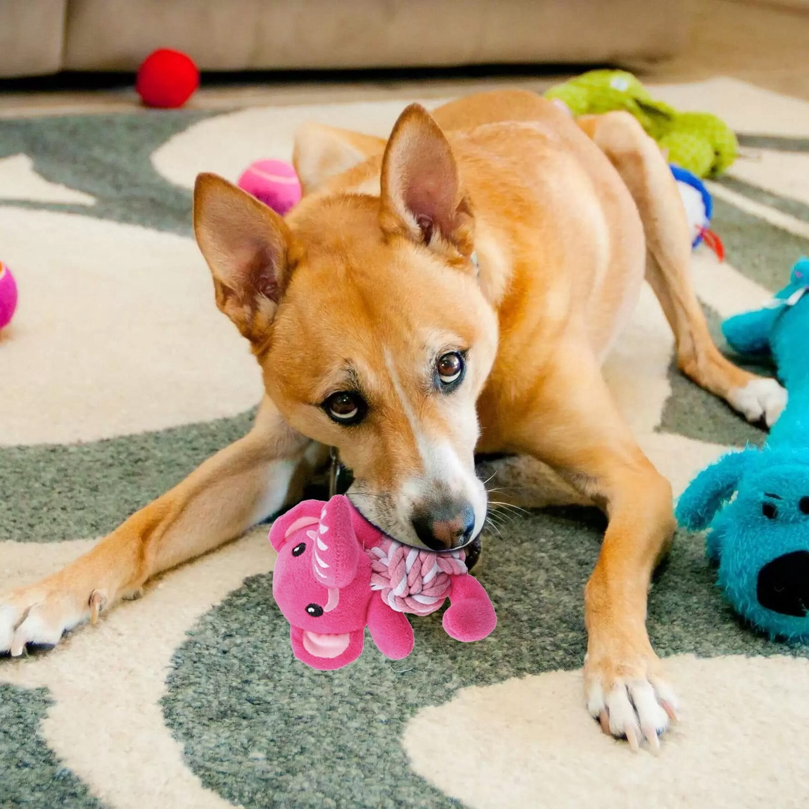 BotaniNest Dog Teething Rope Toy Sounding Dog Toy Cute Animal Shaped ...