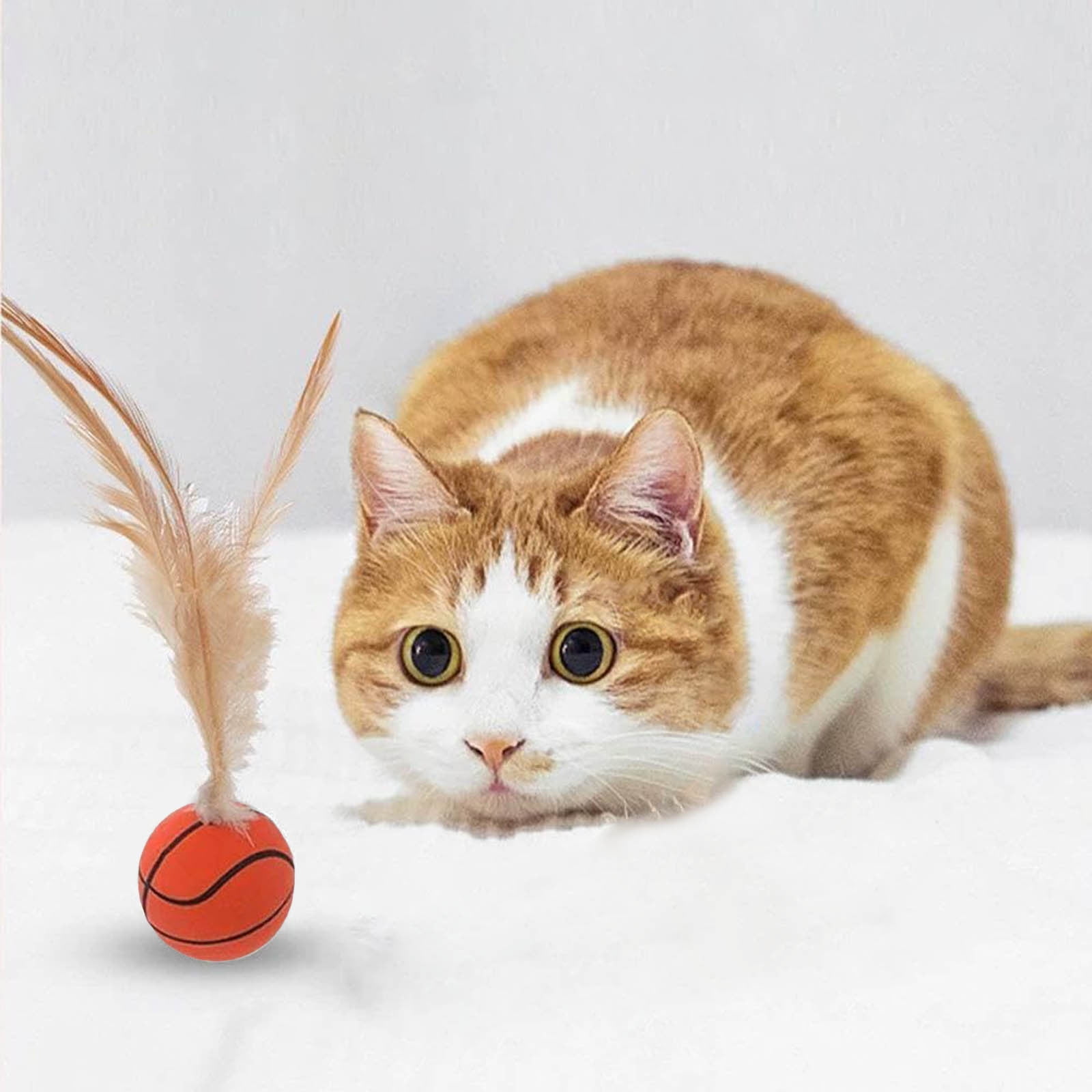 BotaniNest Feather Elastic For Cats Interactive Bouncy With Feathers ...