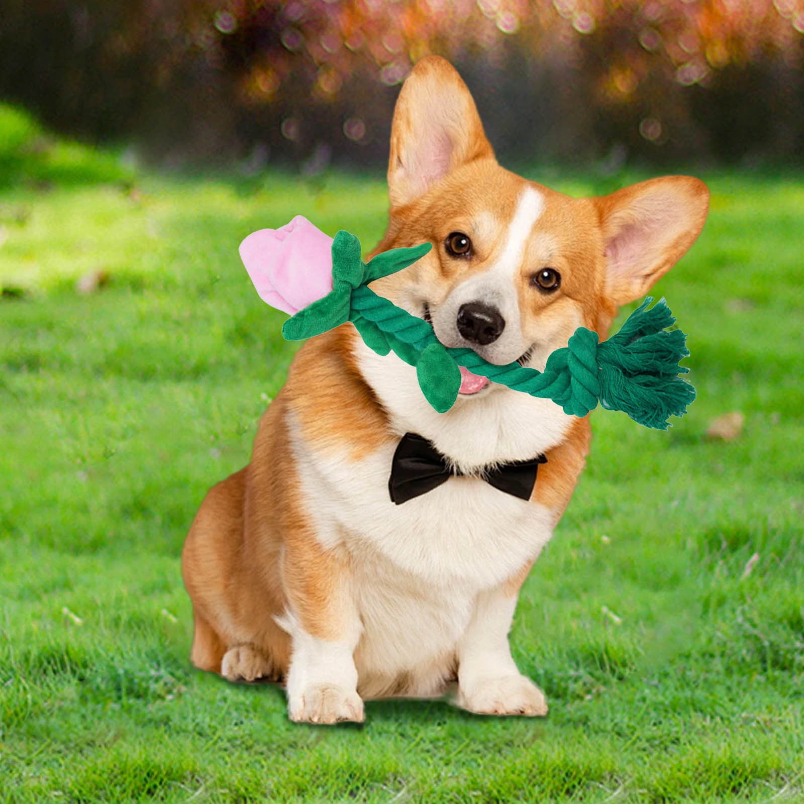 BotaniNest Interactive Stuffed Dog Chew Toy For Small And Dogs Squeak ...