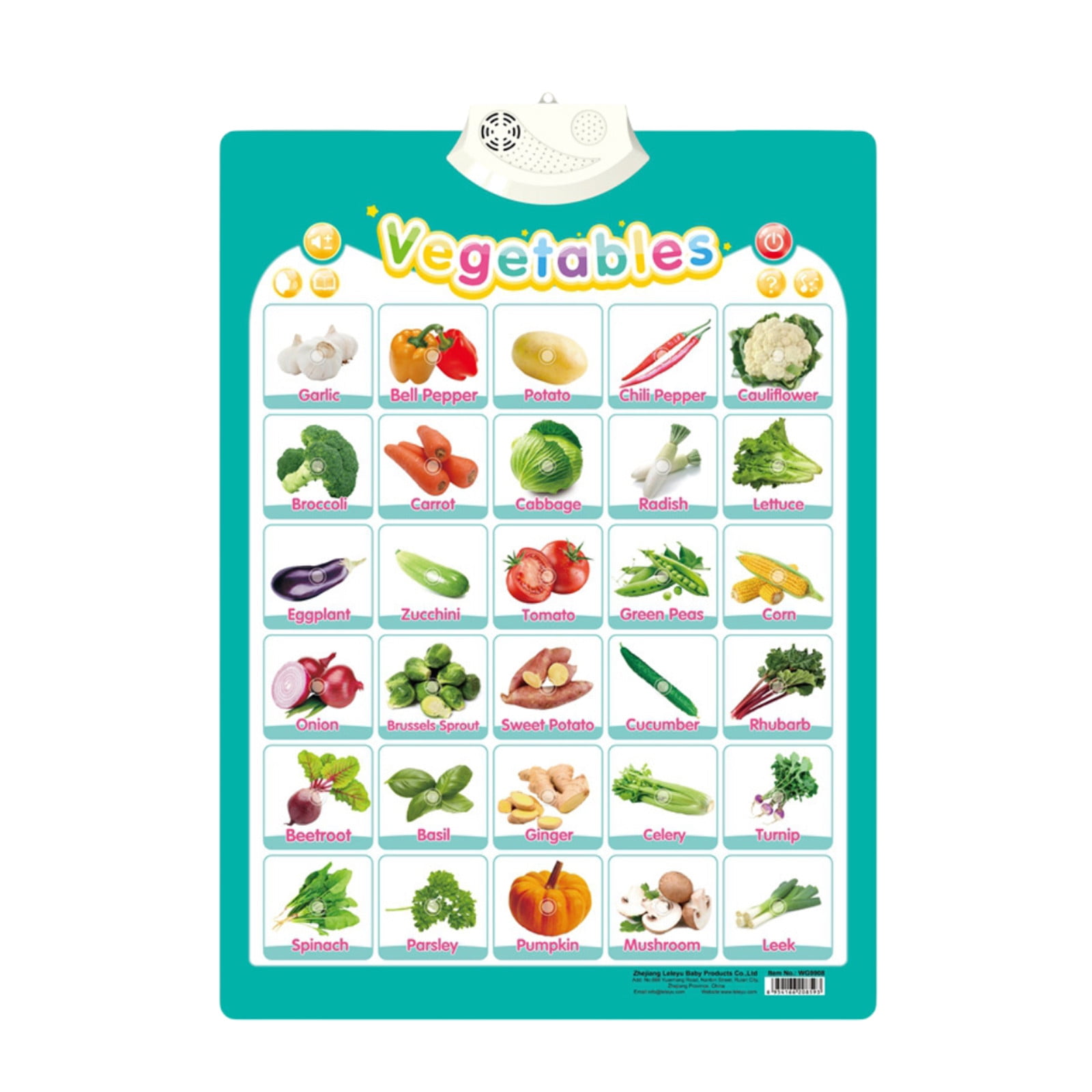 BotaniNest New Talking Wall Chart for Kids , English & Spanish Learning ...