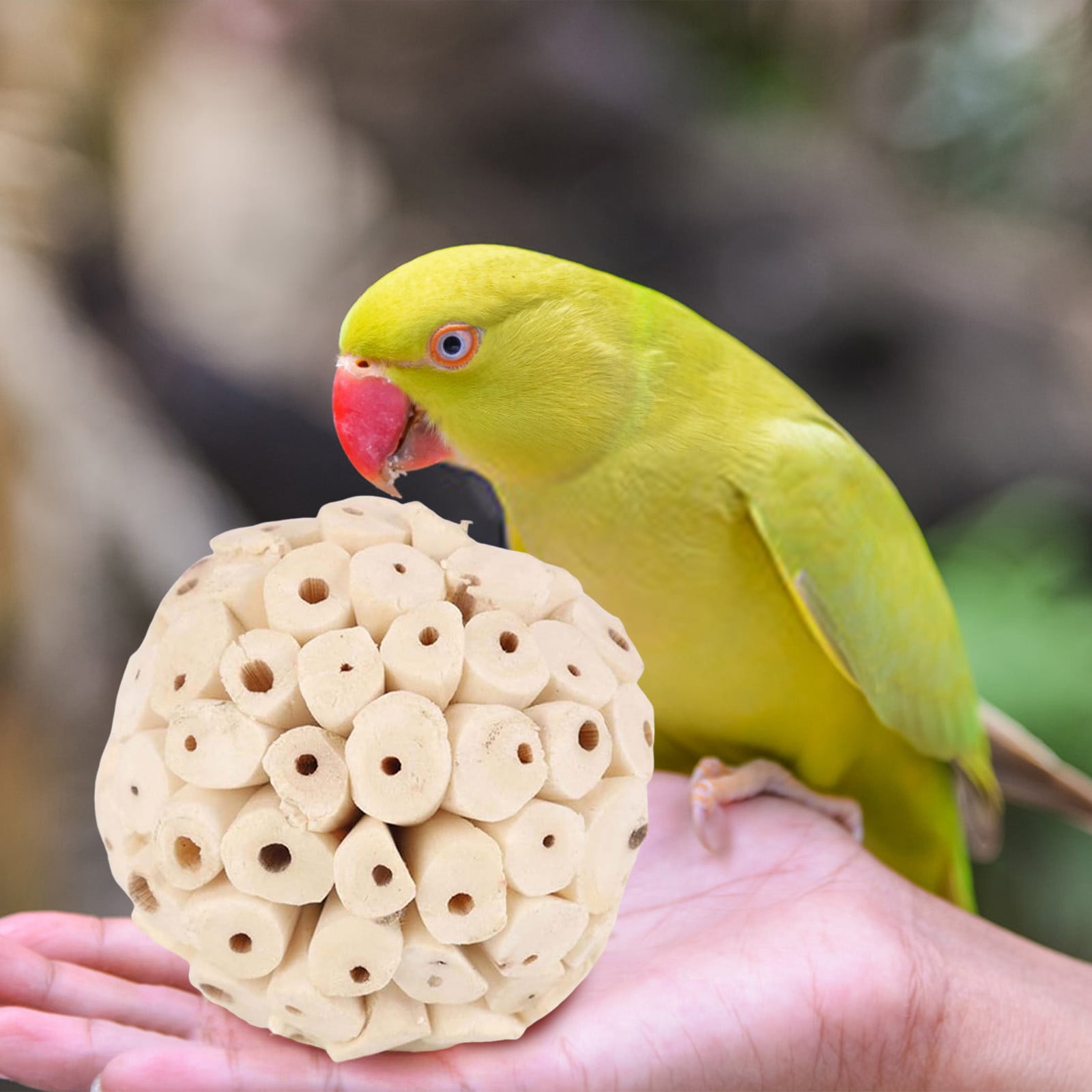BotaniNest Parrots Chew Toy Natural Chewing Toy Bird Biting Toy For ...