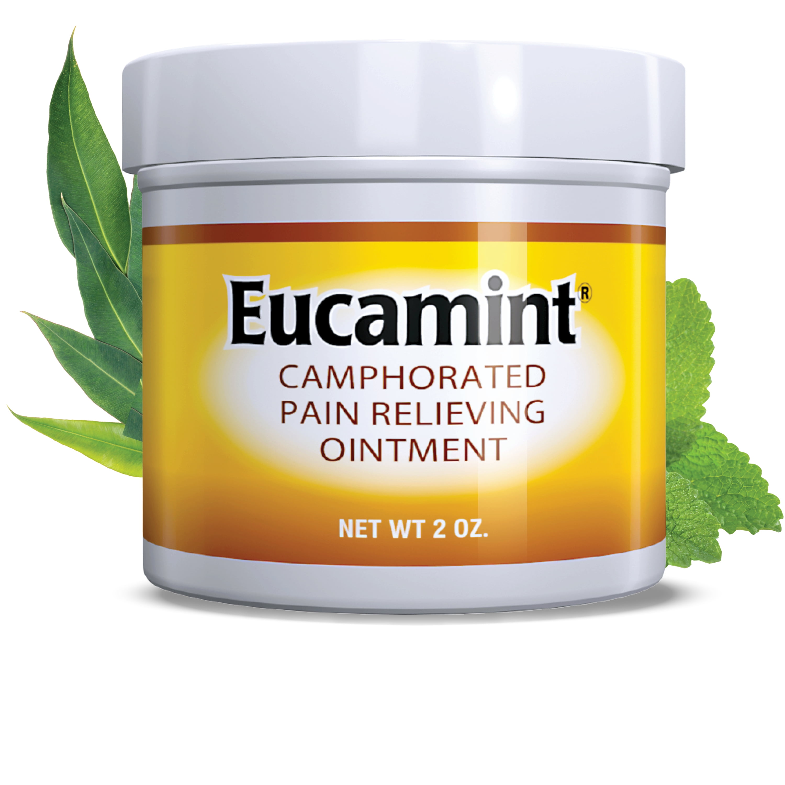 Botanic Choice Eucamint Pain Relief Ointment, Medicated Anti ...