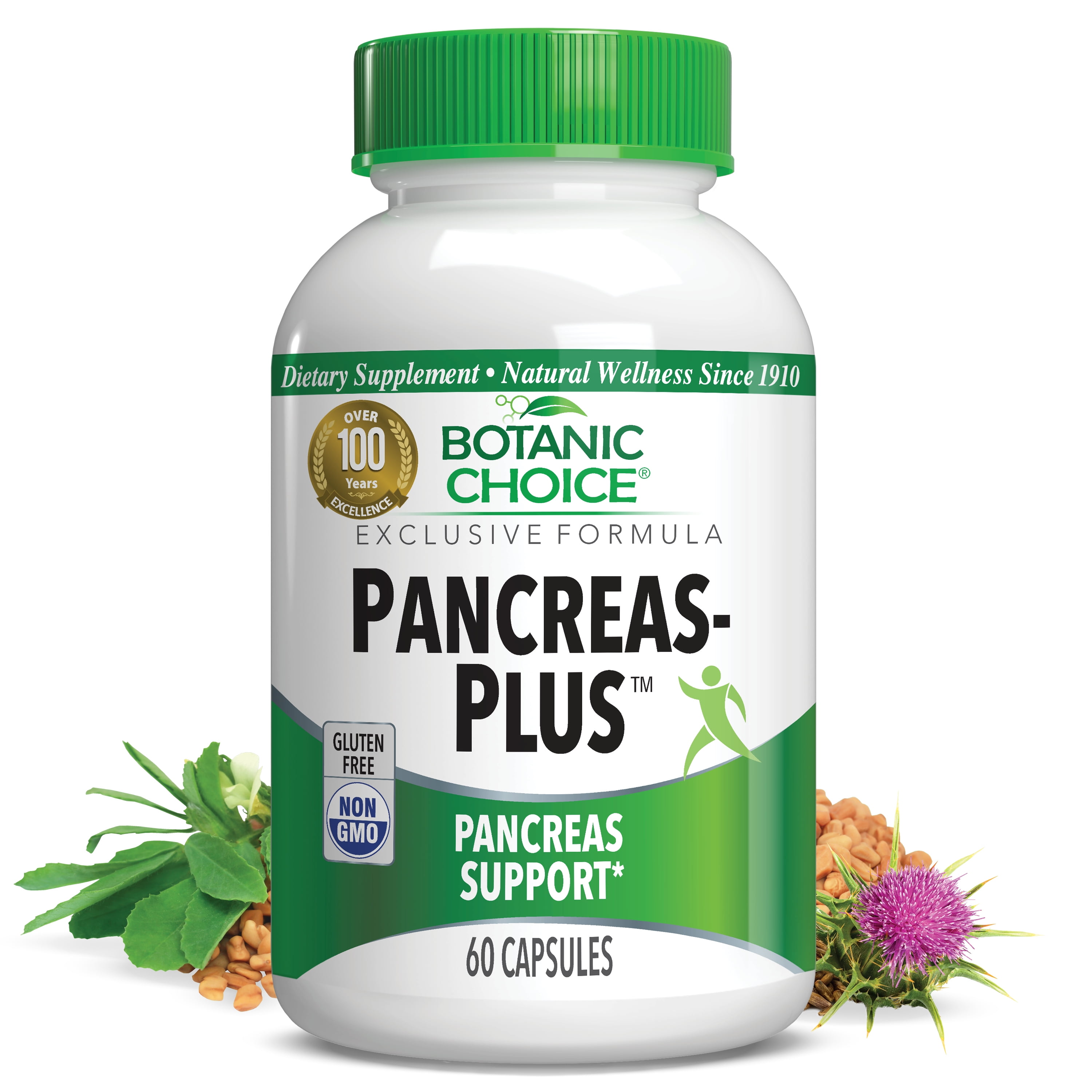 Botanic Choice Pancreas-Plus Digestive Support Pills, Dietary ...