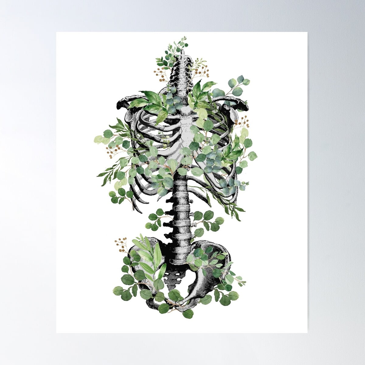Botanical Anatomy, Rib Cage, Pelvis, Eucalyptus Leaves Floral Skeleton ...