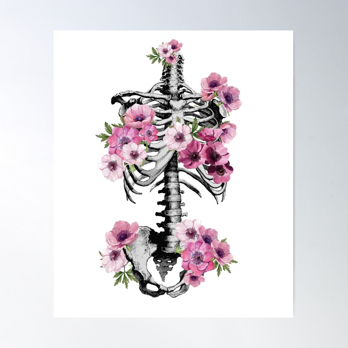 Botanical Anatomy, Rib Cage, Pelvis, Pink Anemones Floral Skeleton ...