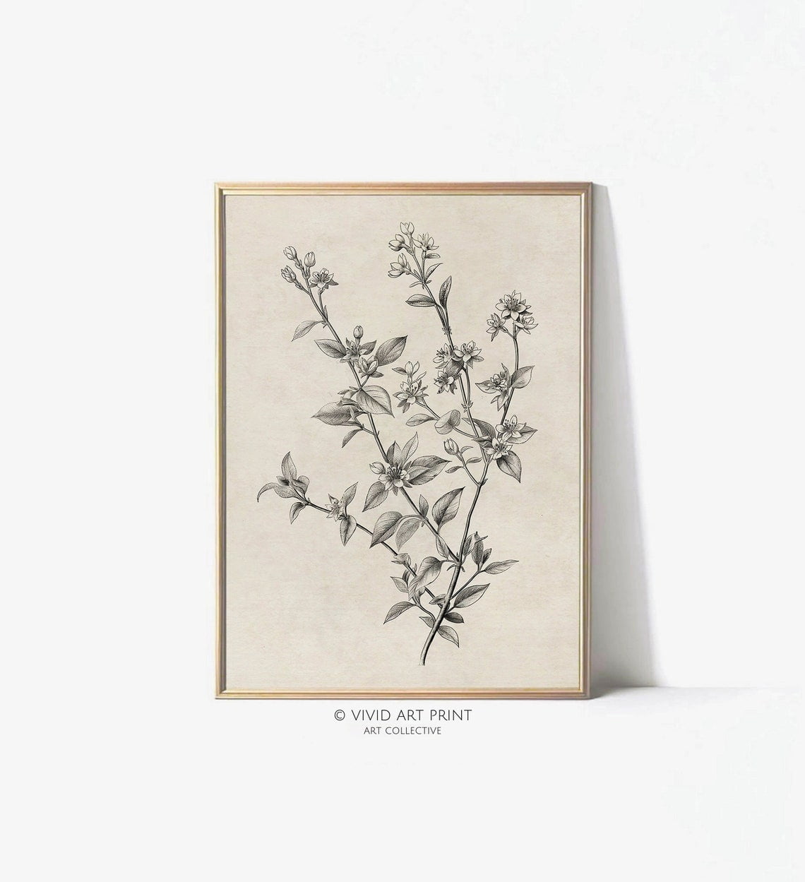 Botanical Antique Drawing Art "Floral Elegy" Minimal Flower Sketch Wall ...