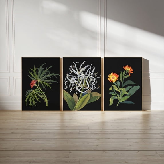 Botanical Art Flower Prints Giclee Art Prints by Woman Artist Mary ...