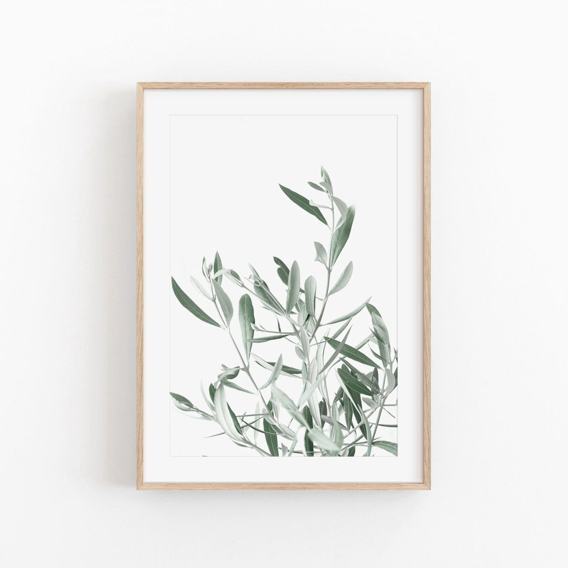 Botanical Art Print, Botanical Print, Instant Art, Olive Tree, Plant ...