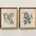 Botanical Art Set of 2, Floral Study Print, Neutral Floral Wall Art ...