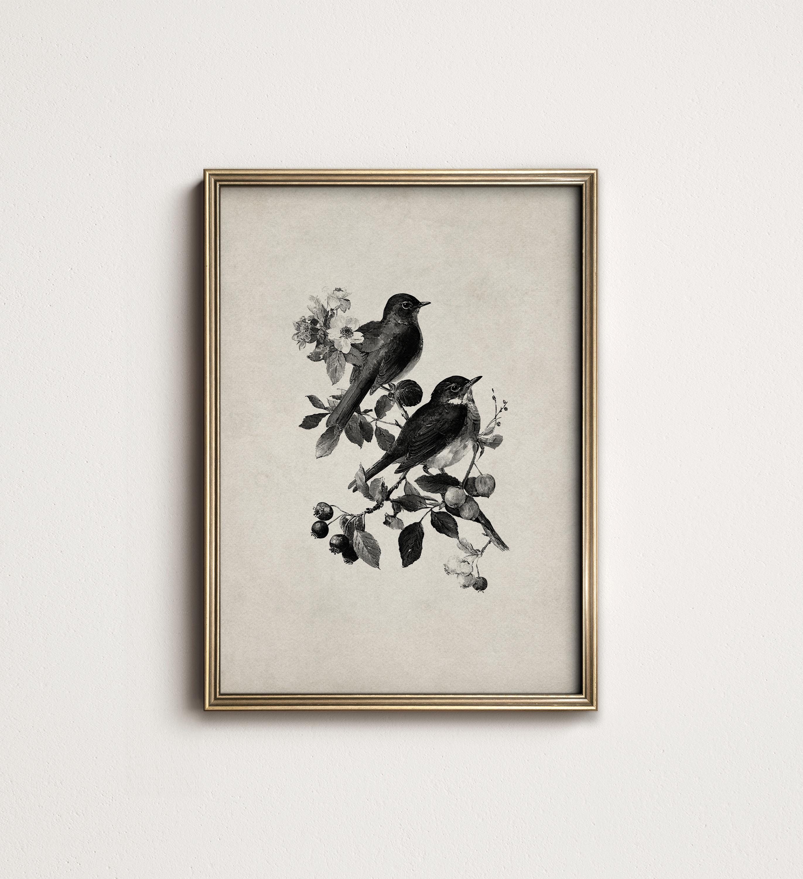 Botanical Bird Print: Antique French Country Songbird Art 9-205 ...