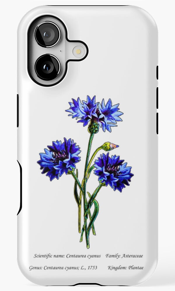 Botanical Blue Cornflower Art Phone Case for iPhone 11 12 13 14 15 16 ...