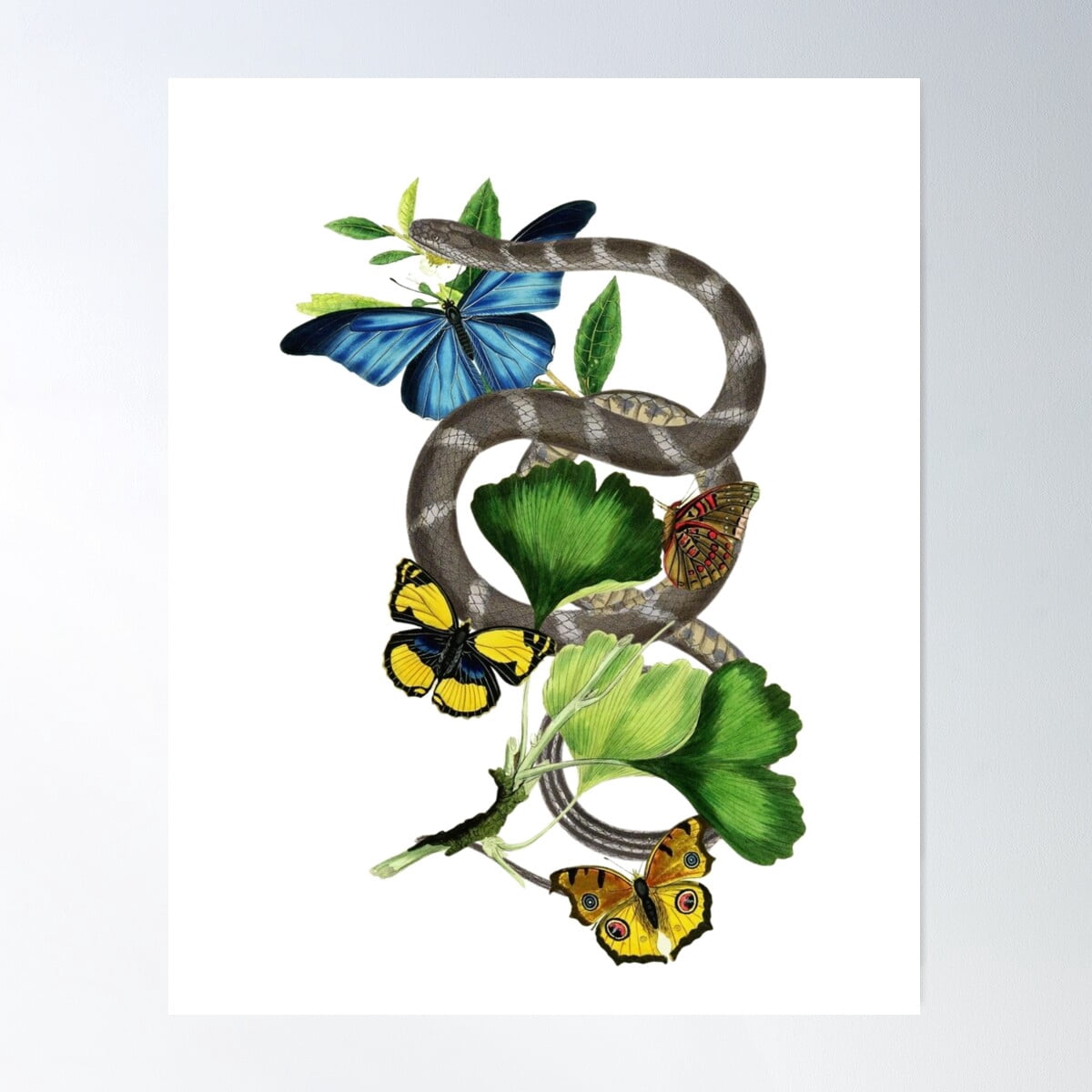 Botanical Butterflies & Snake Poster Wall Art, Modern Wall Decor For ...