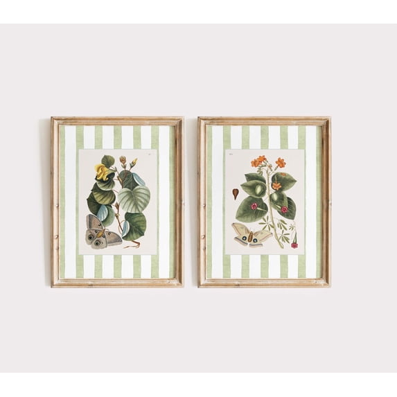 Botanical Butterfly Sage Green Stripe Coastal Cottage Decor Room Set 2 ...