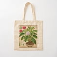 Botanical Drawing 20 Canvas Tote Bags, Reusable Shopping Bag - Walmart.com