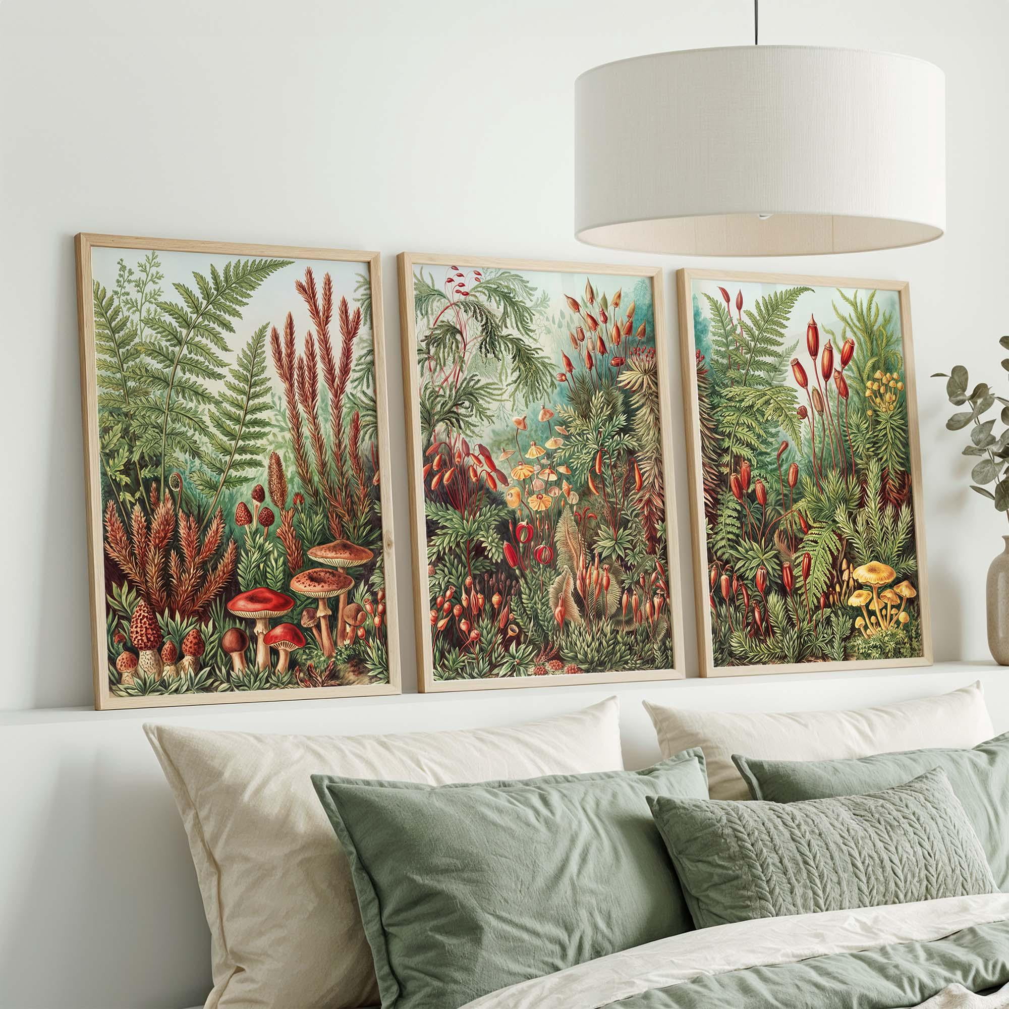 Botanical Fern Mushroom Art Print Set Vintage Forest Woodland Poster ...