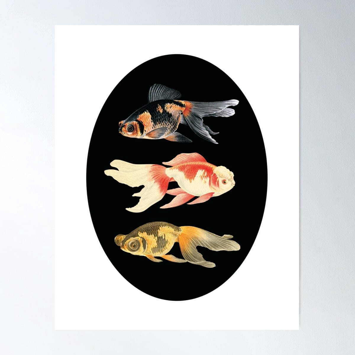 Botanical Fish Trio On Black Poster Wall Art, Modern Wall Decor For ...