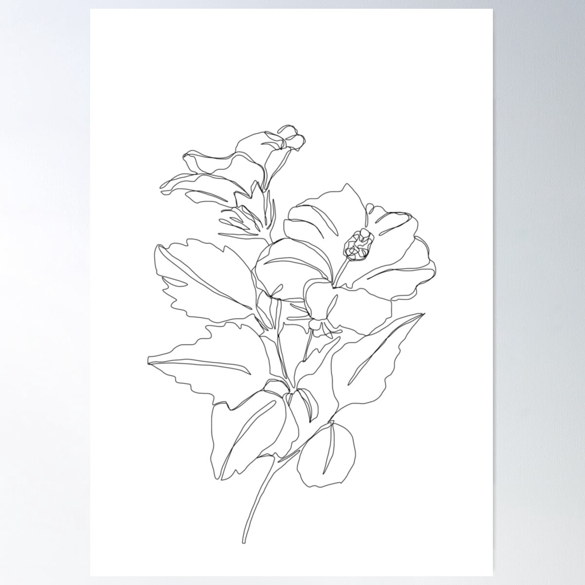 Botanical Floral Tropical Illustration - Hibiscus Poster Wall Art ...