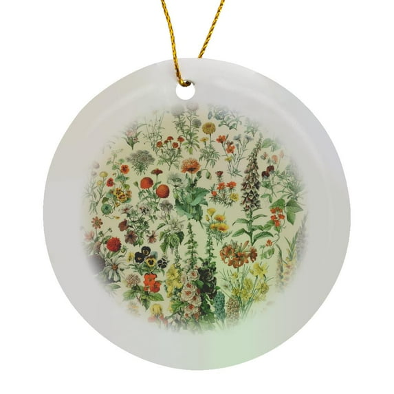 Botanical Flower Art - Beautiful Colorful Spring And Summer Flowers ...