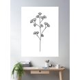 Botanical Flower Bud Line Art Poster Wall Art Modern Wall Decor For ...