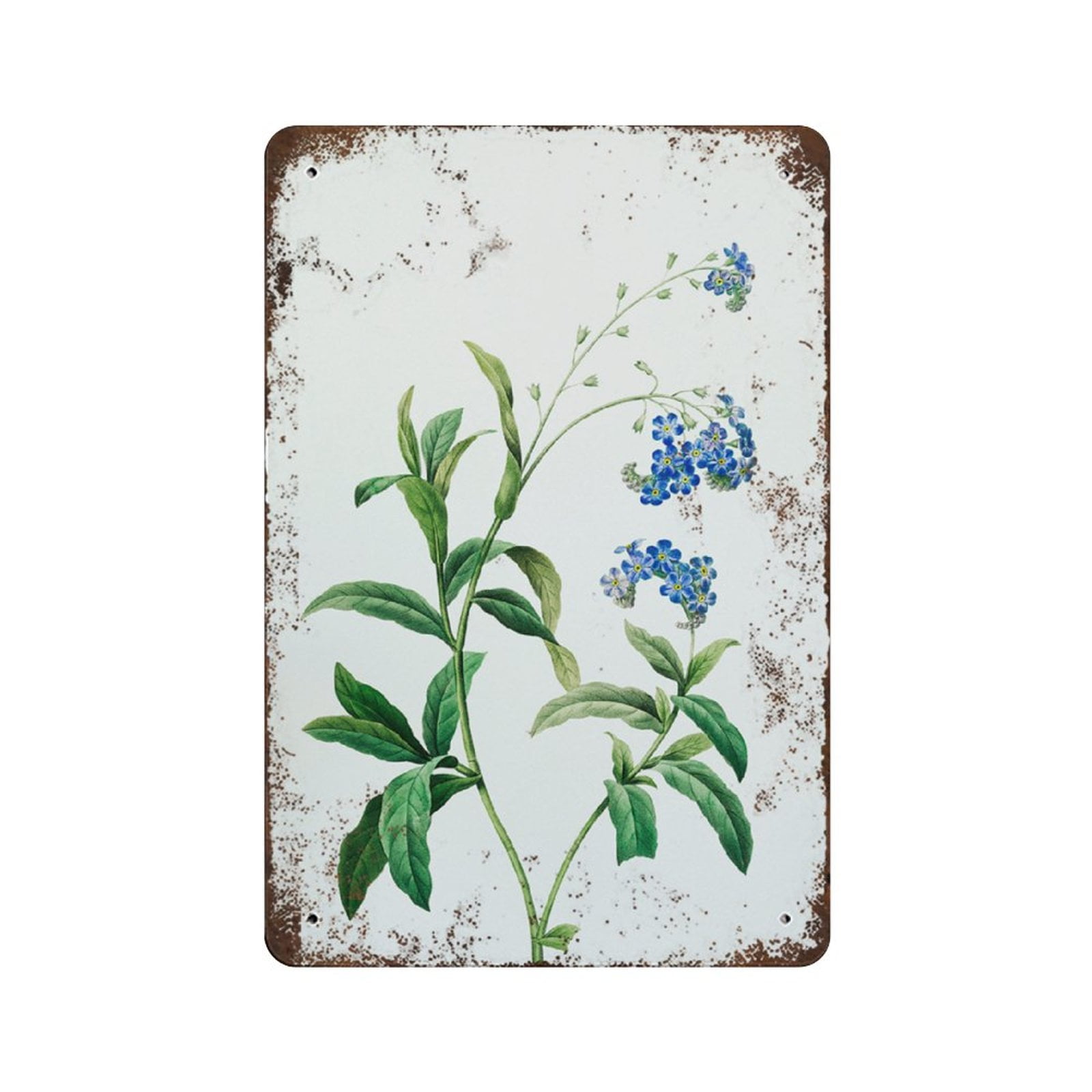 Botanical Forget-Me-Not Wall Art, Printable Wall Art, Flower Printable ...