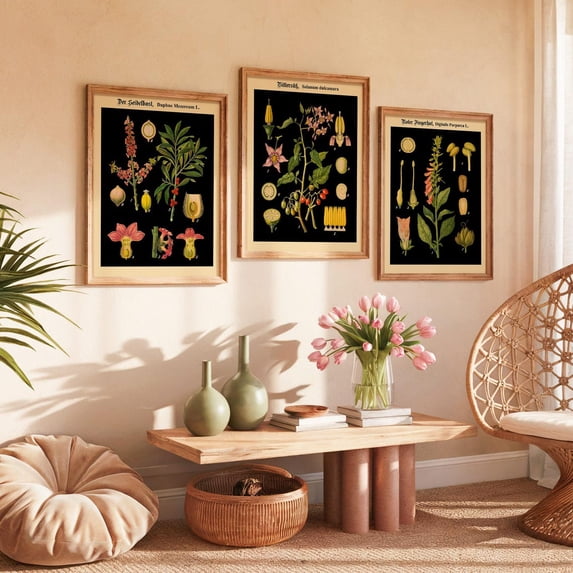 Botanical German Botanical Prints on Black Background Set 3 Stretched ...