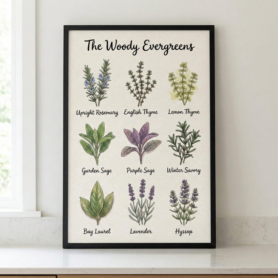 Botanical Herb Chart Wall Art, Kitchen Herb Decor, Sage Rosemary Thyme ...