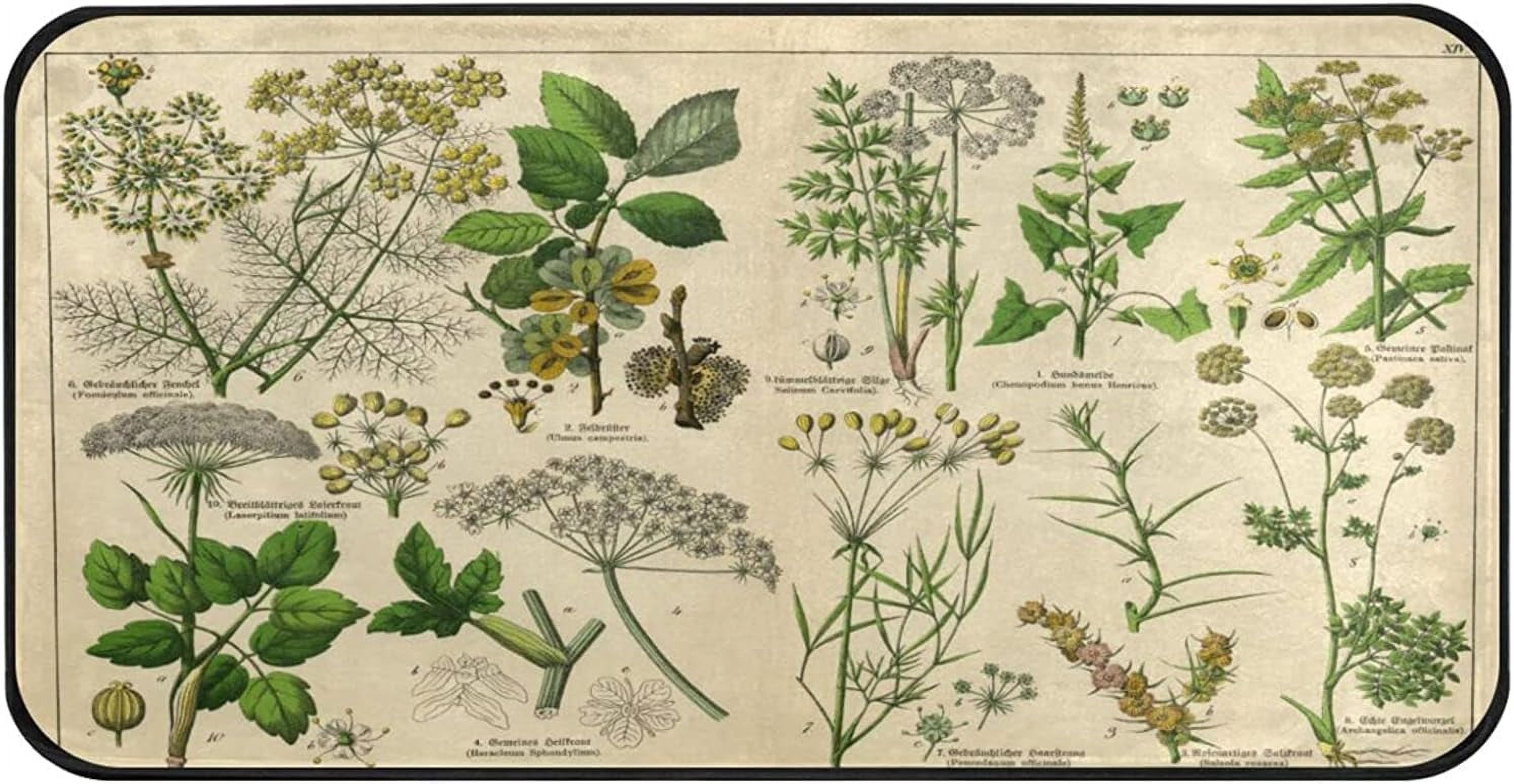 Botanical Herbs Plant Kitchen Rugs Bath Rug Runner Comfort Mat Non-Slip ...