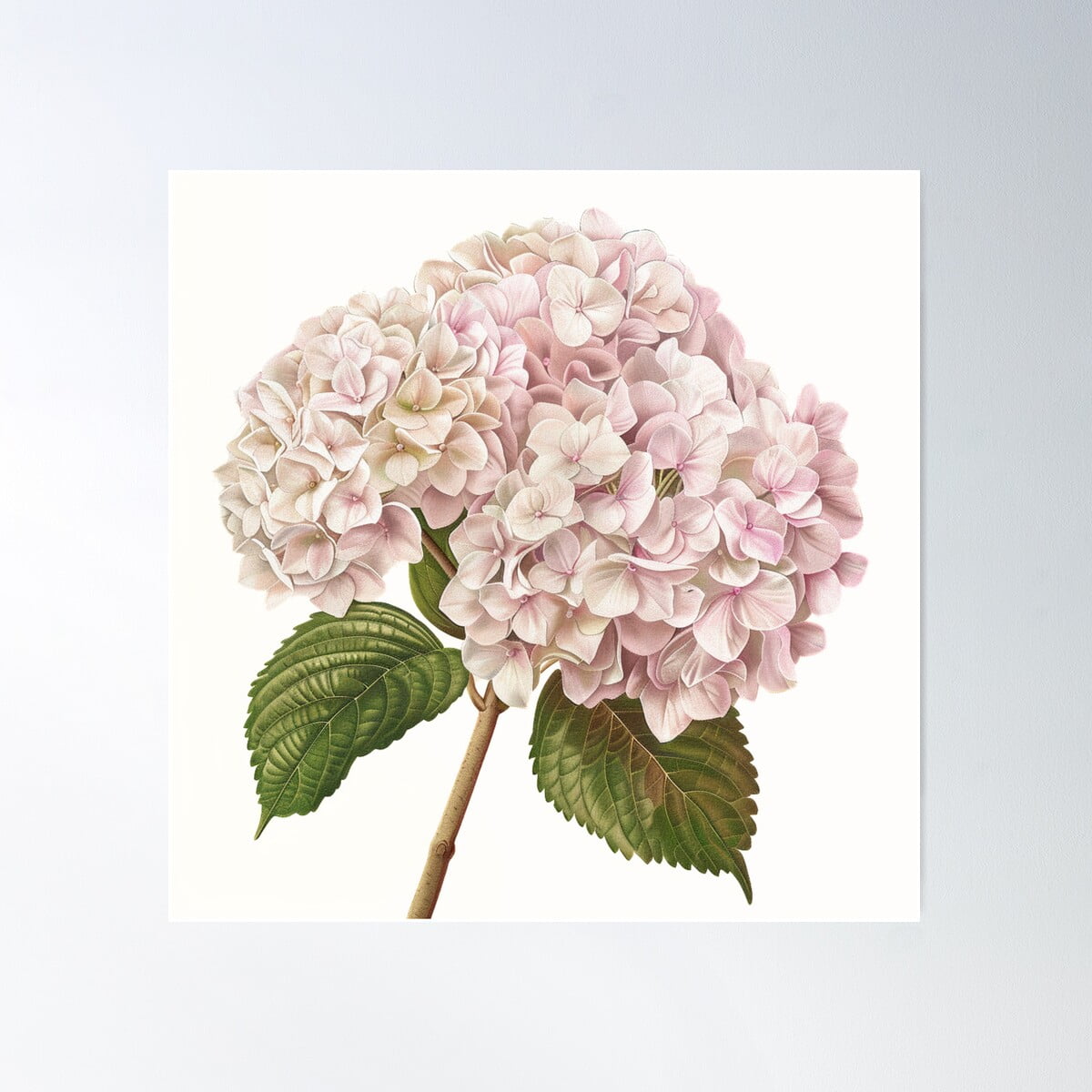 Botanical Hydrangea Poster Wall Art, Modern Wall Decor For Living Room ...