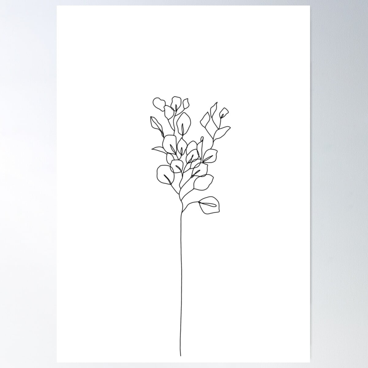 Botanical Illustration Line Drawing - Eucalyptus Poster Wall Art ...