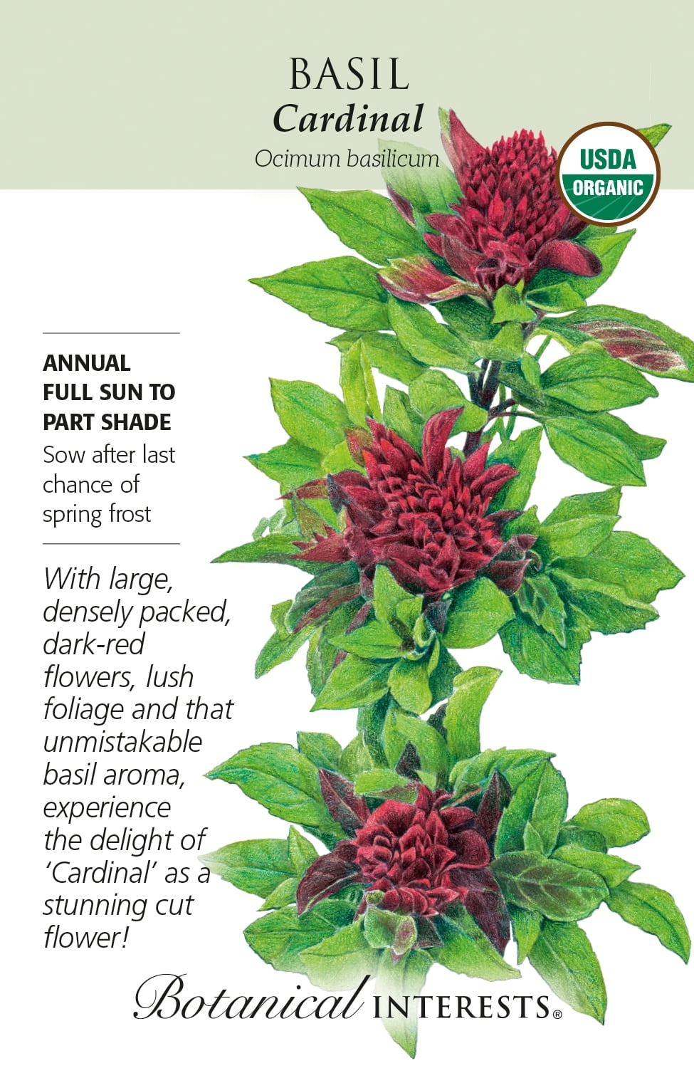 Botanical Interests Organic Cardinal Basil 30 Seeds, Richly Colored ...