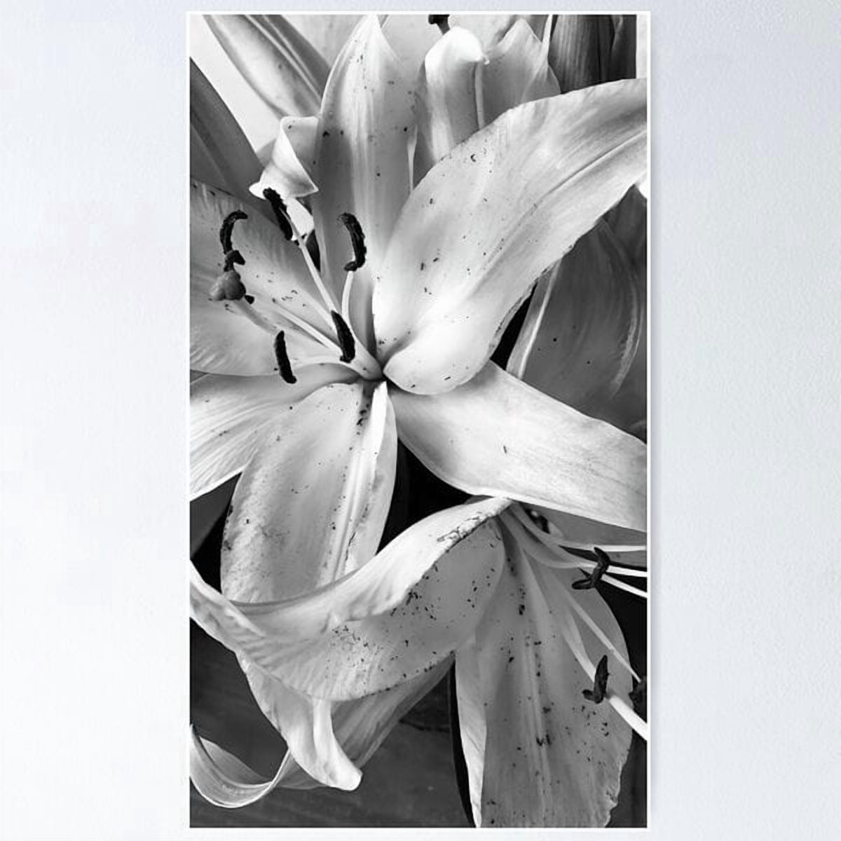Botanical Issue Poster , Poster Print Only - Walmart.com