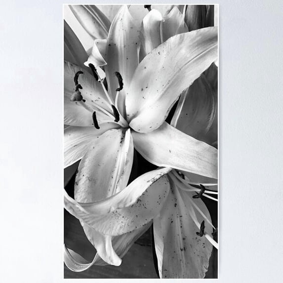 Botanical Issue Poster , Poster Print Only - Walmart.com