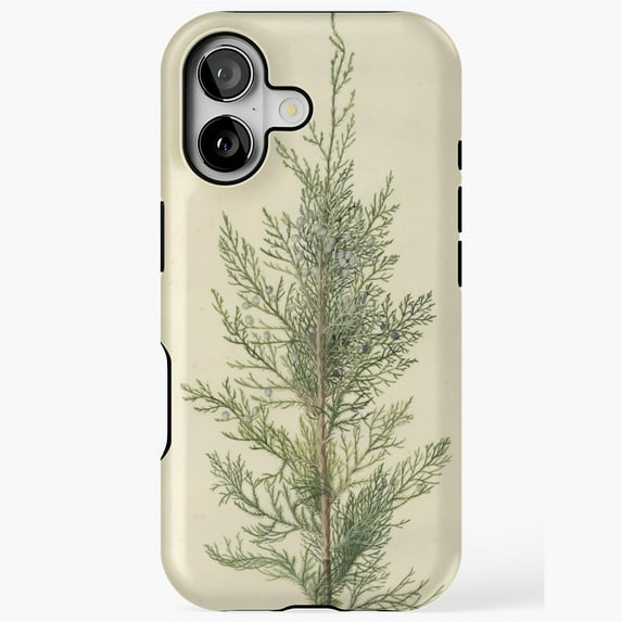 Botanical Juniper Greenery Pattern Art Phone Case for iPhone 17 to 11 ...