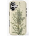 Botanical Juniper Nature Plant Greenery Phone Case for iPhone 11 12 13 ...