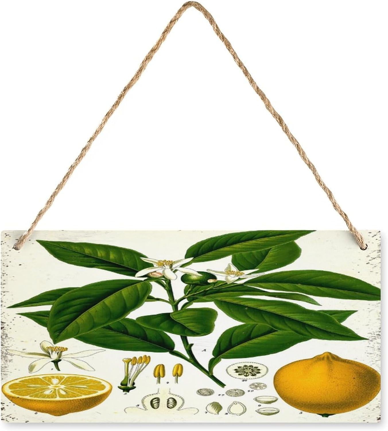 Botanical Lemon Citrus Welcome Signs For Front Door Home Sweet Home ...
