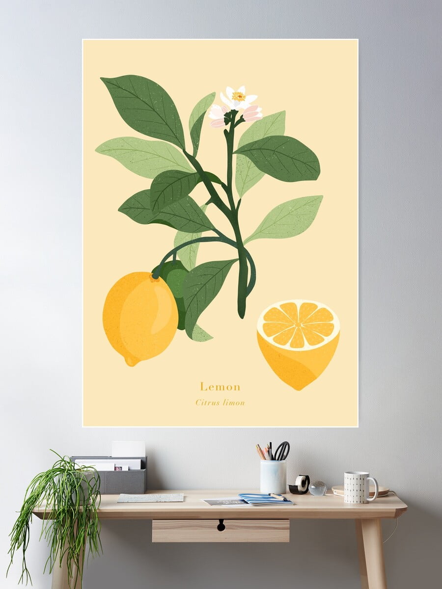 Botanical Lemon Plant Poster Wall Art, Modern Wall Decor For Living ...