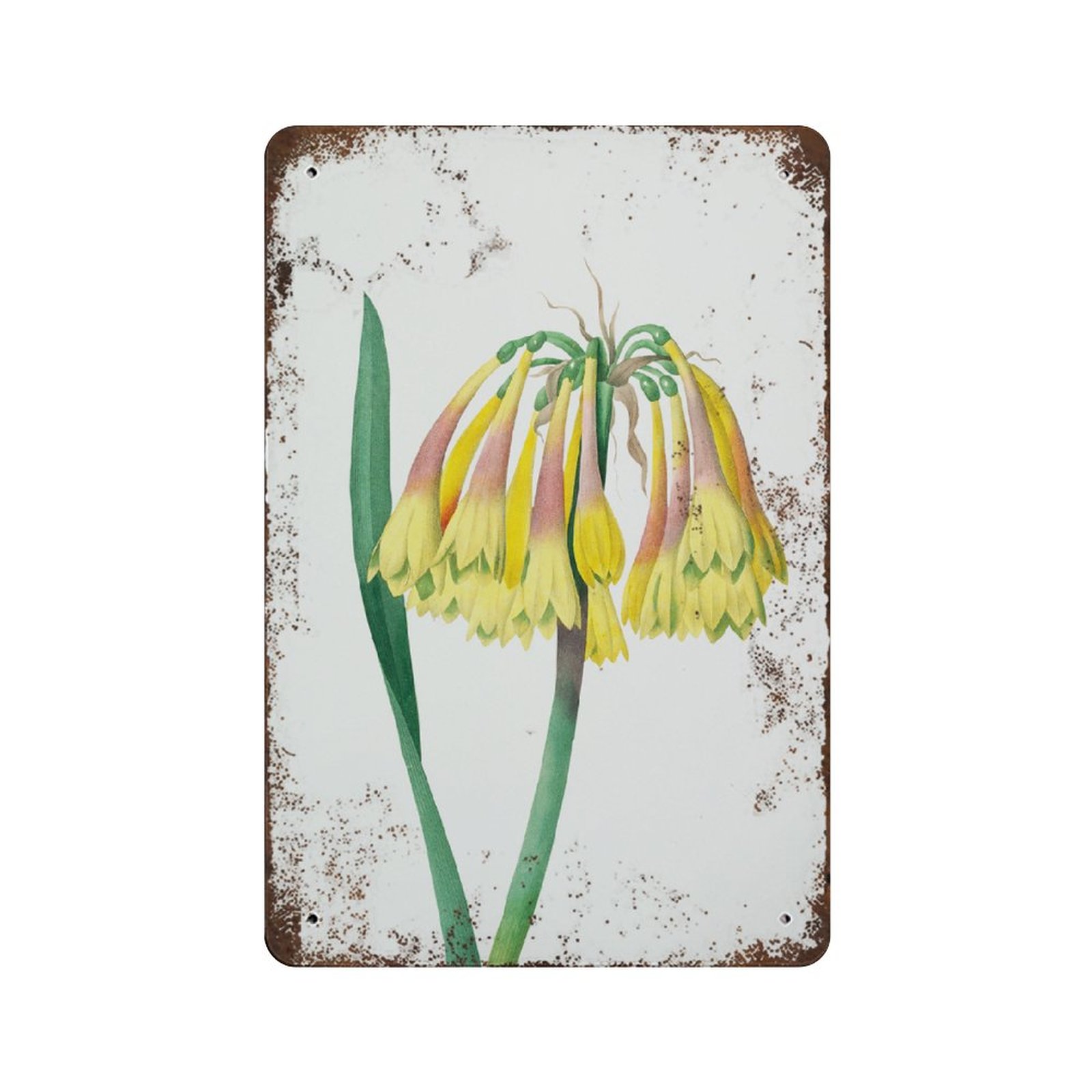 Botanical Lily Flower Wall Art, Printable Wall Art, Flower Printable ...