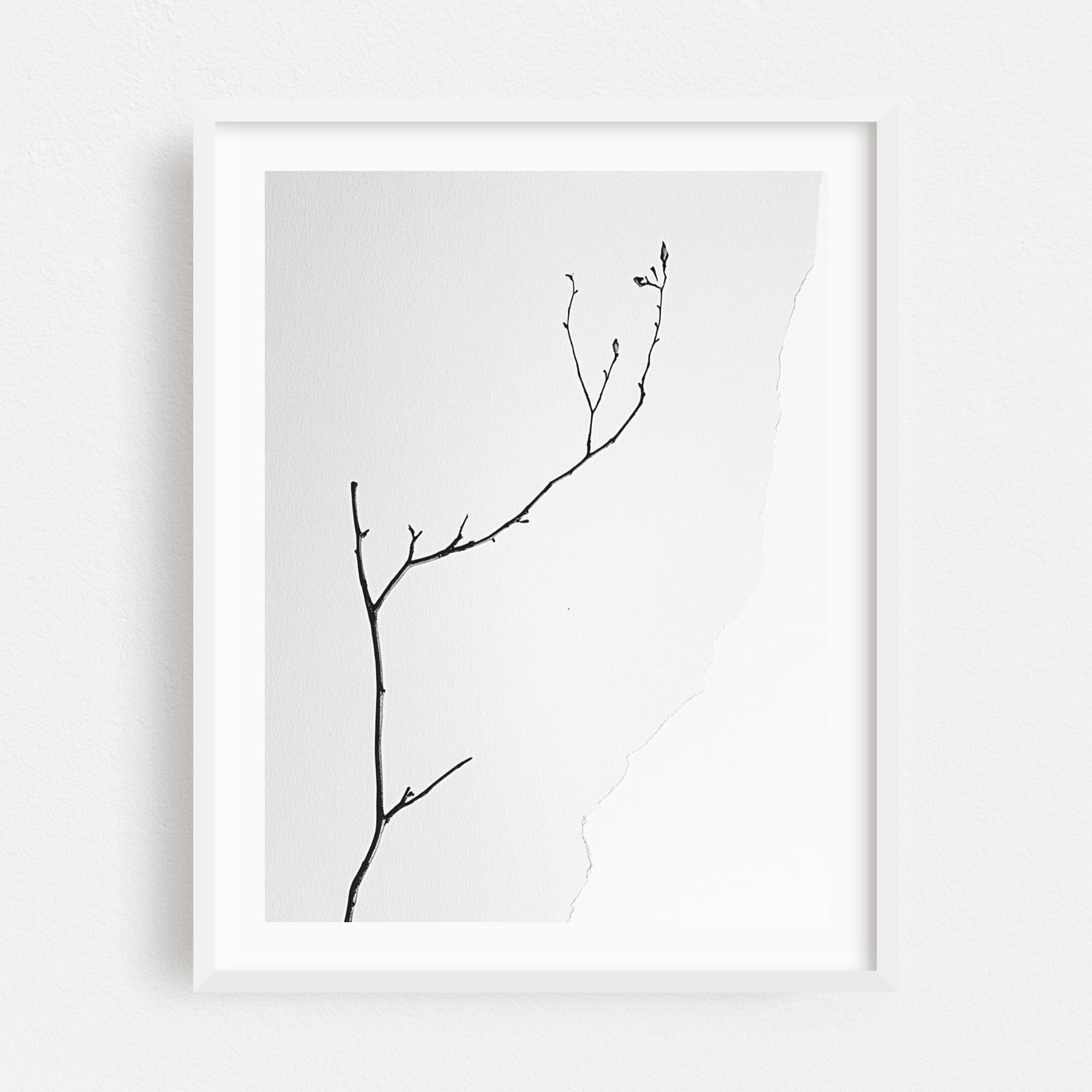Botanical Line Drawing for Minimalist - Line Drawing Minimalist Line ...