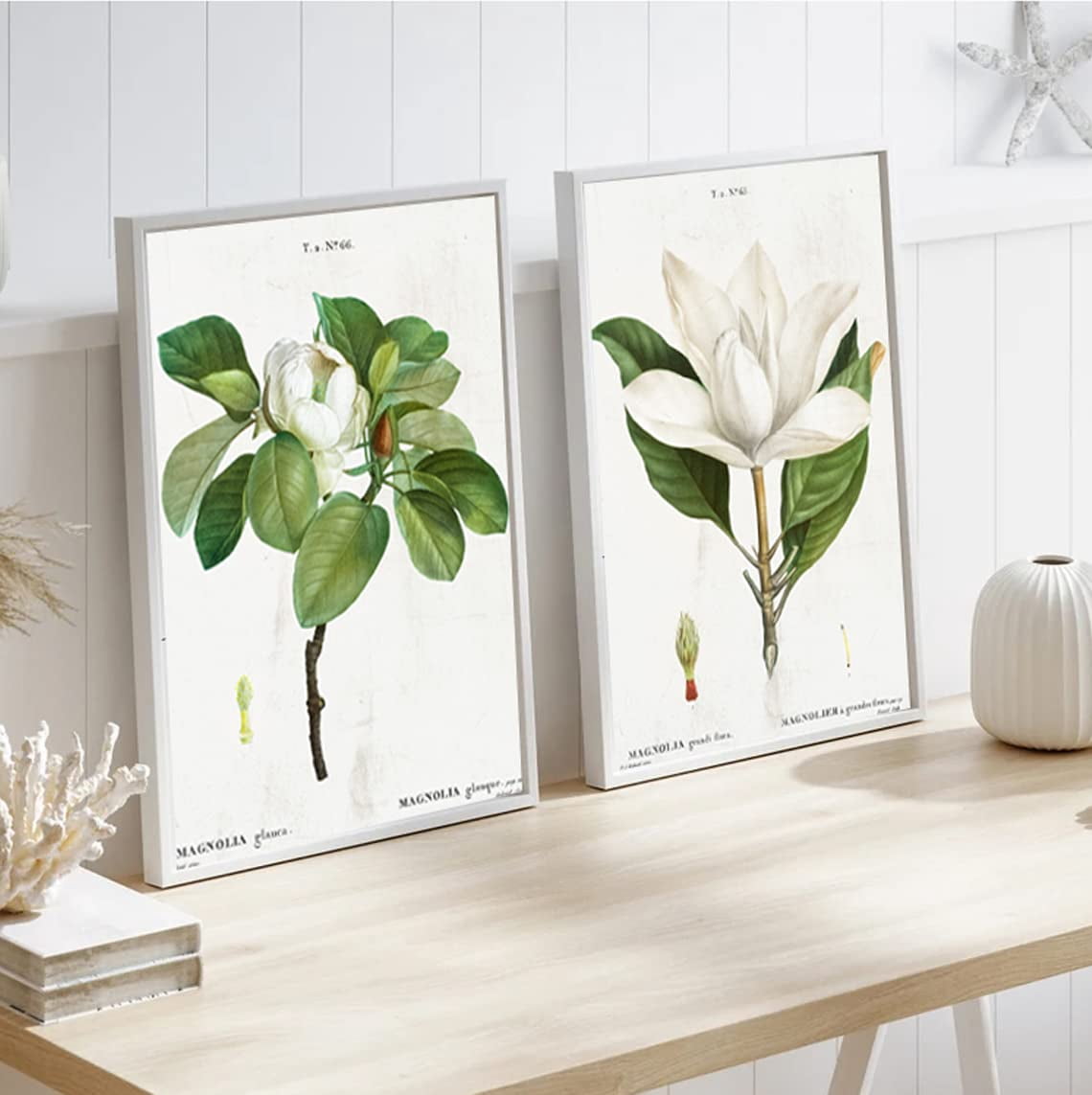 Botanical Magnolia Vintage Wildflower Flowers Botanical Study Flora ...