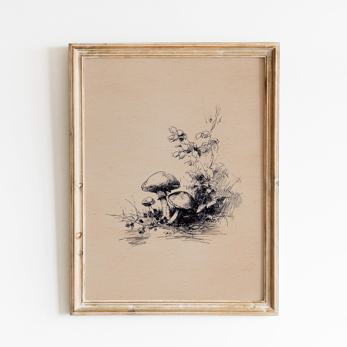 Botanical Mushroom Red Cap Forest Vintage Nature Inspired Hand Drawn ...