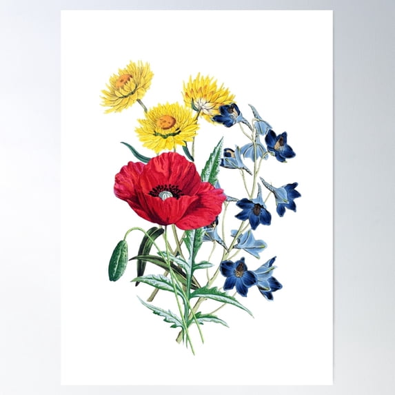 Botanical Night Meadow Wild Flowers Pattern Poster Wall Art Modern Wall ...