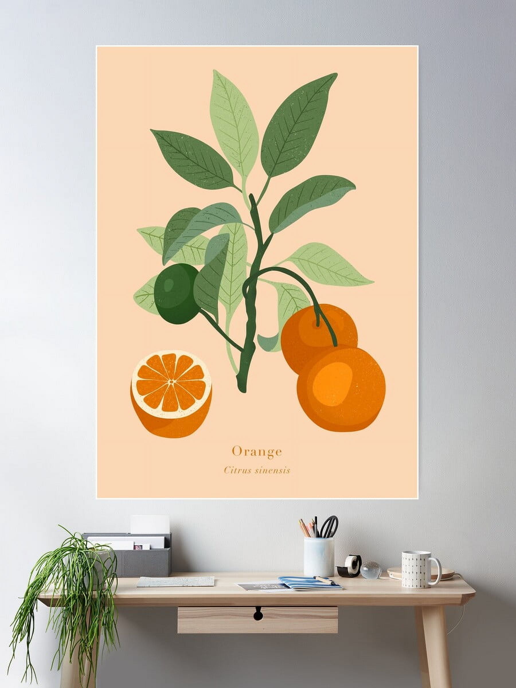 Botanical Orange Plant Poster Wall Art Modern Wall Decor For Living ...