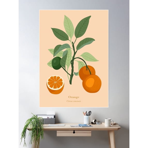 Botanical Orange Plant Poster Wall Art Modern Wall Decor For Living ...