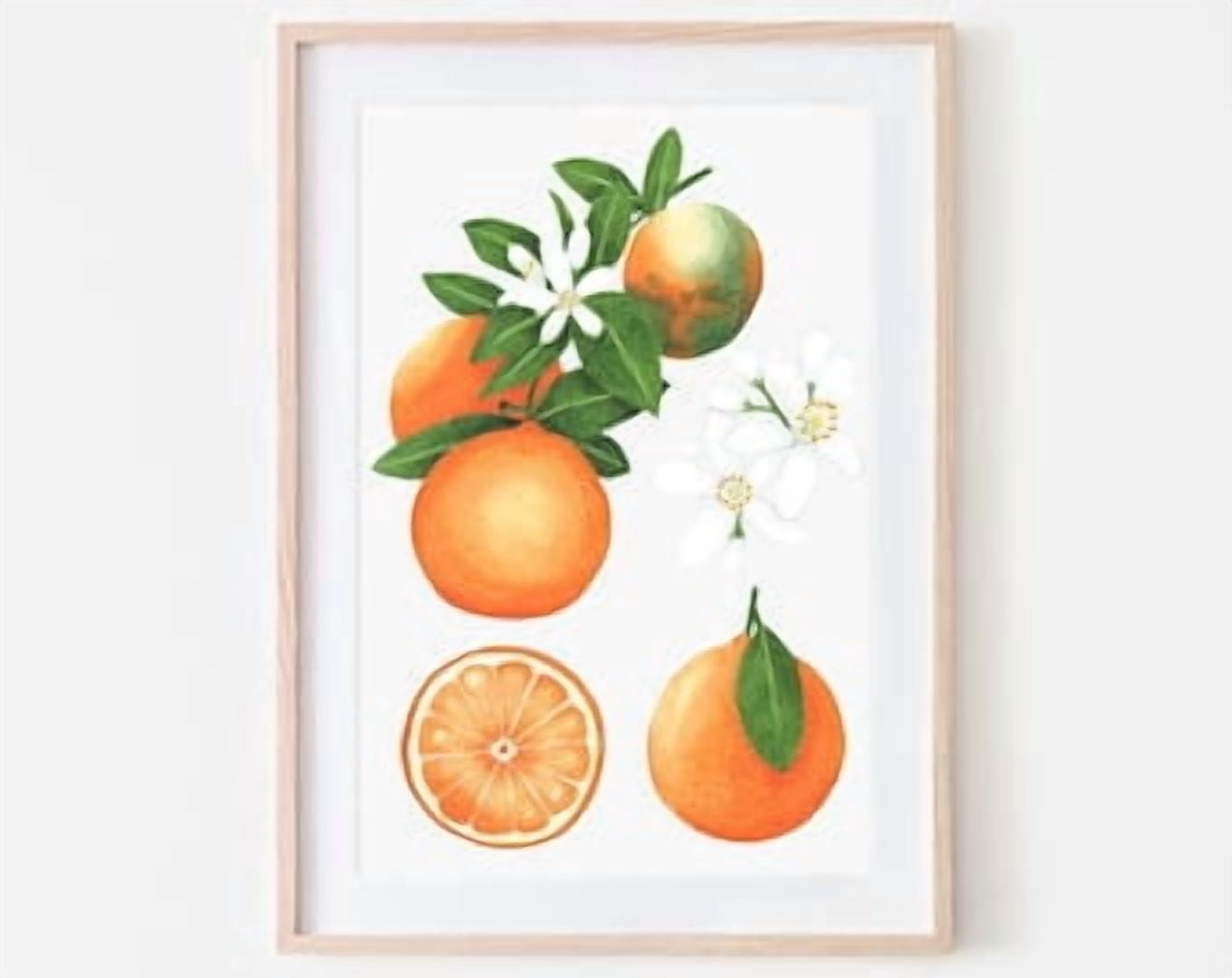 Botanical Orange Tree Poster Italian Gesso Paper Kitchen Wall Decor ...