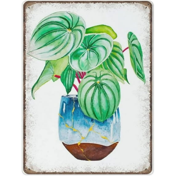 Botanical Peperomia Aluminum Wall Plaque Tin Sign Vintage Retro ...