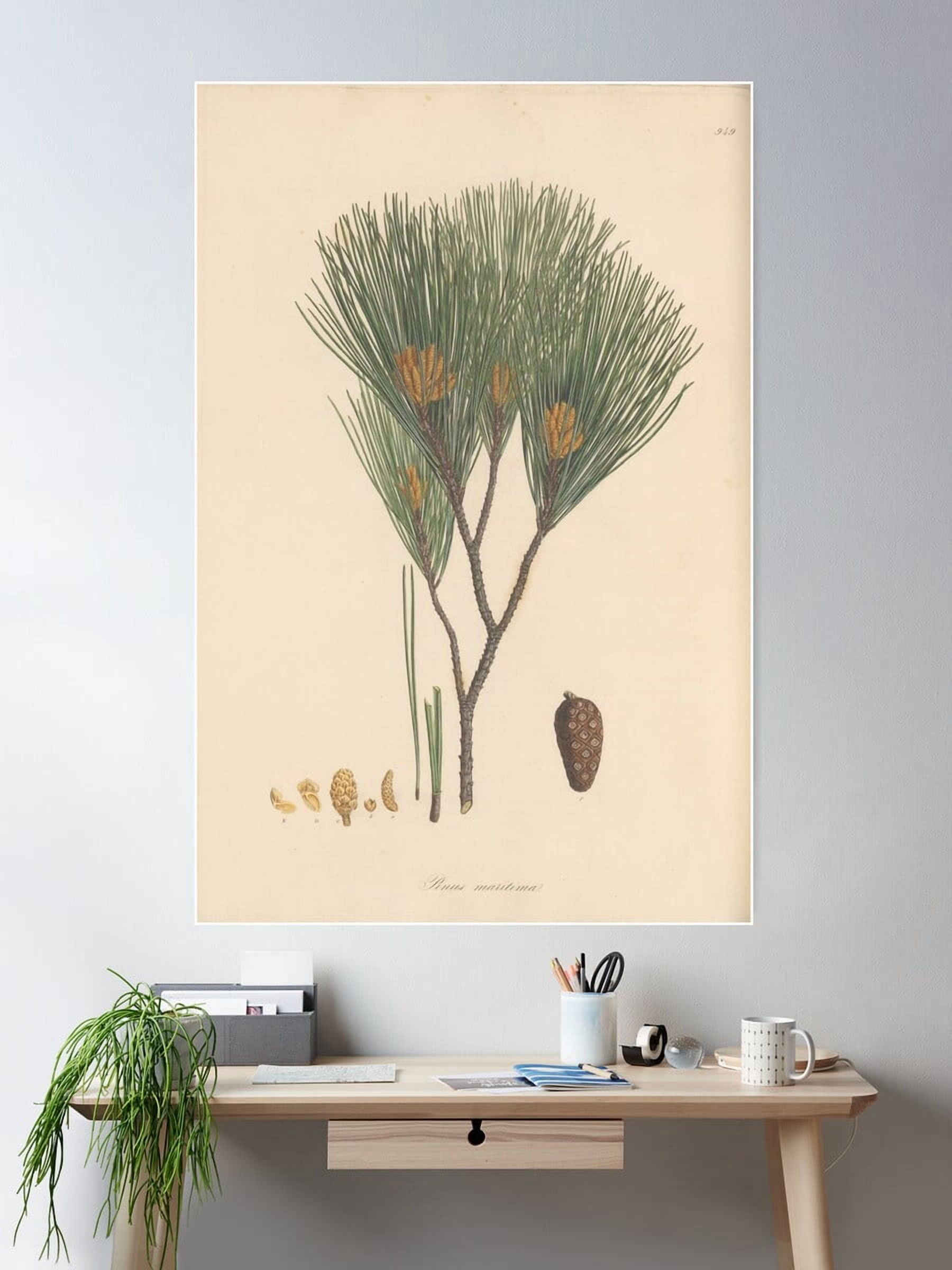 Botanical Pine Poster Wall Art Modern Wall Decor For Living Room ...