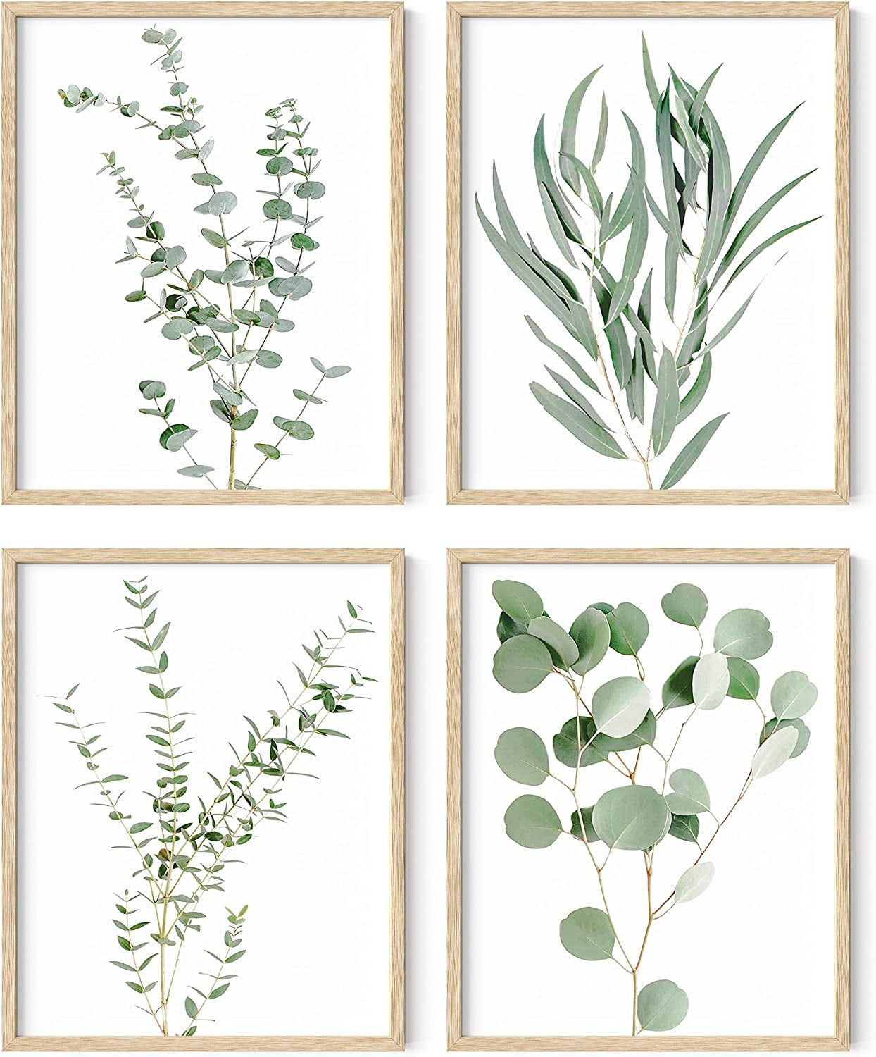 Botanical Plant Wall Art Prints - Set of 4 Plant Wall Decor Prints ...